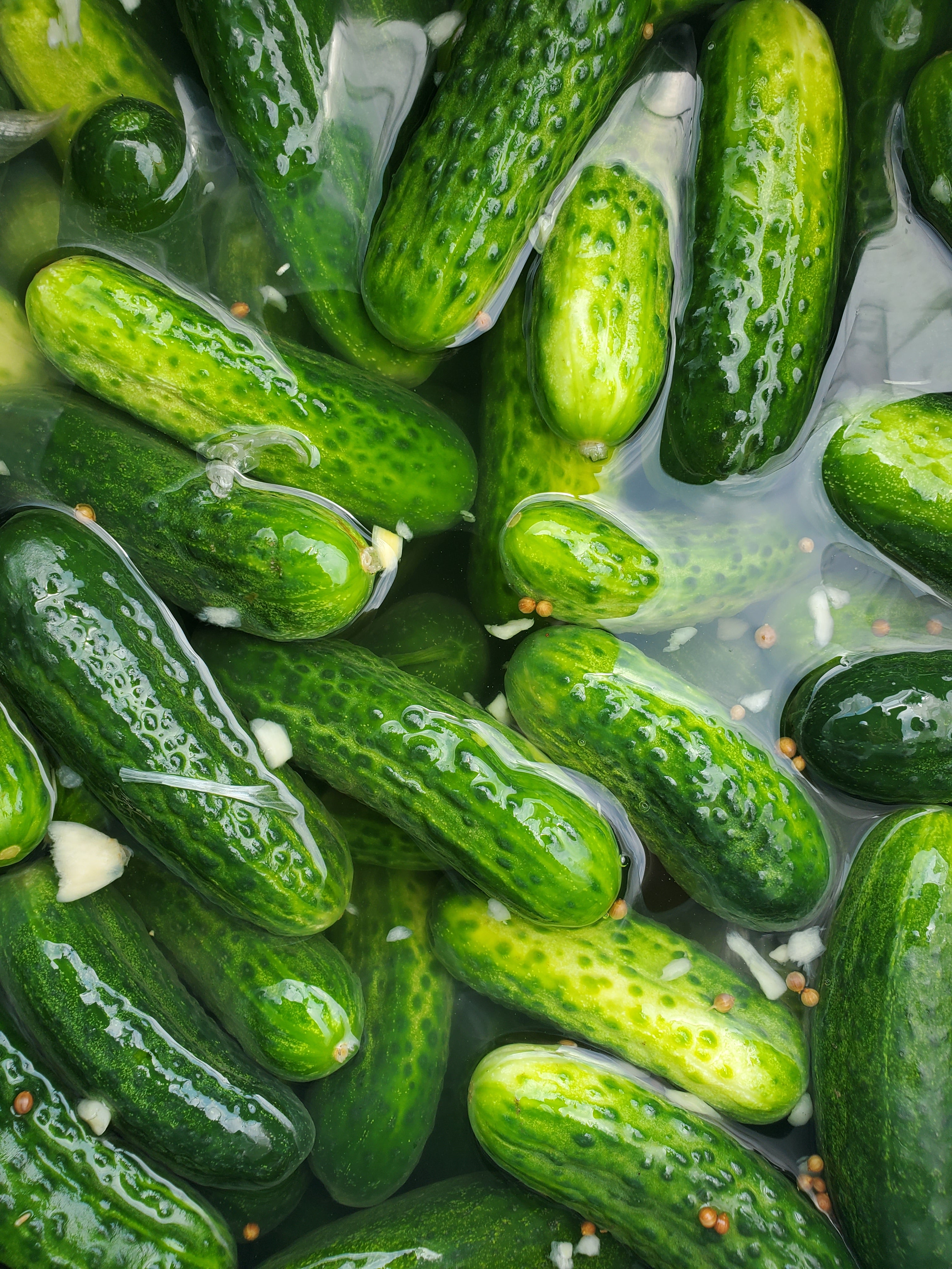 Shop Pickles and Olives | PICKLE CULTURE